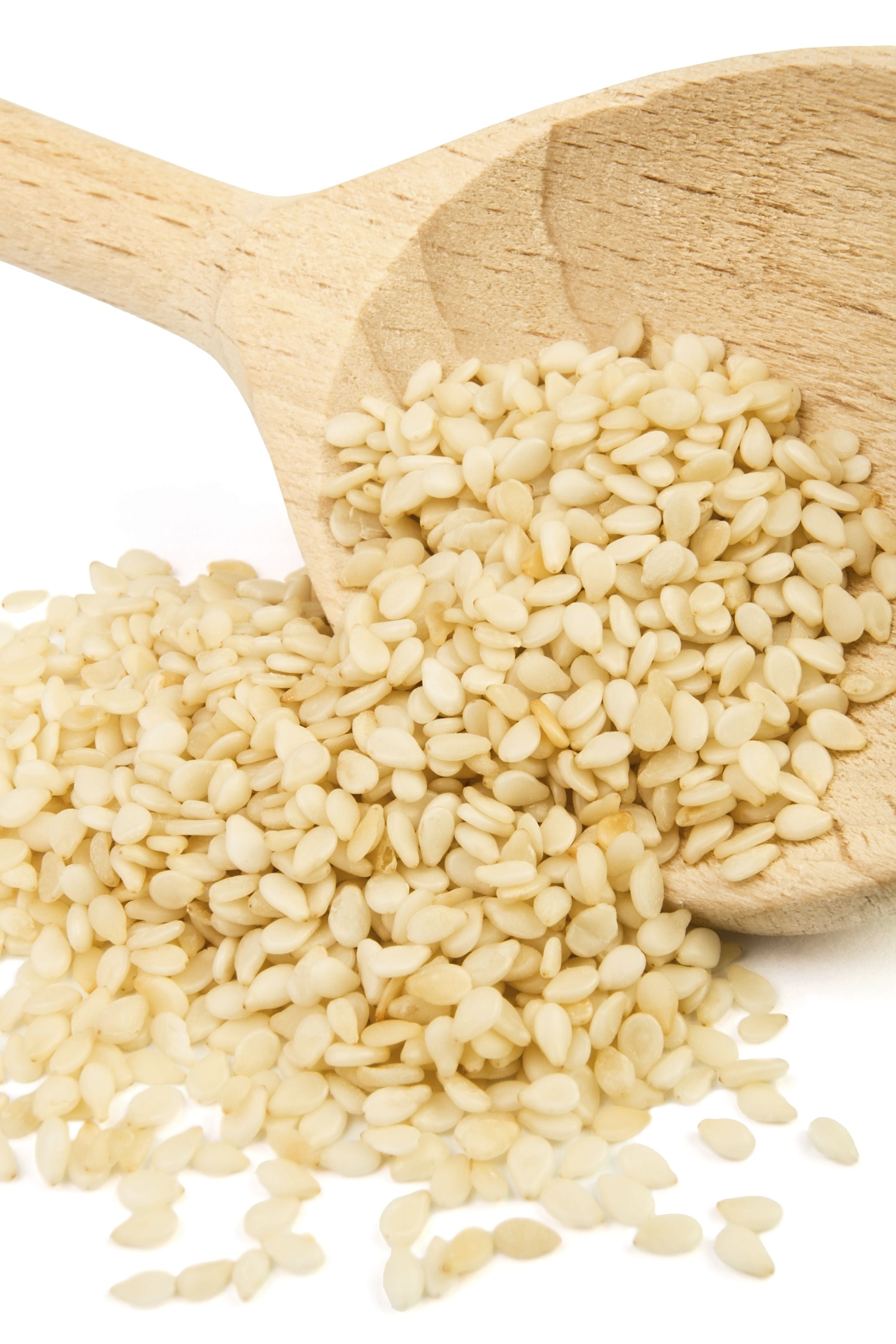 Sesame Seeds (Polished Thill) / Nuts and Seeds – MissMossies